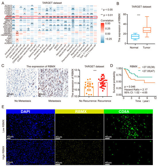 The RNA-Binding Protein RBMX Mediates the Immunosuppressive ...