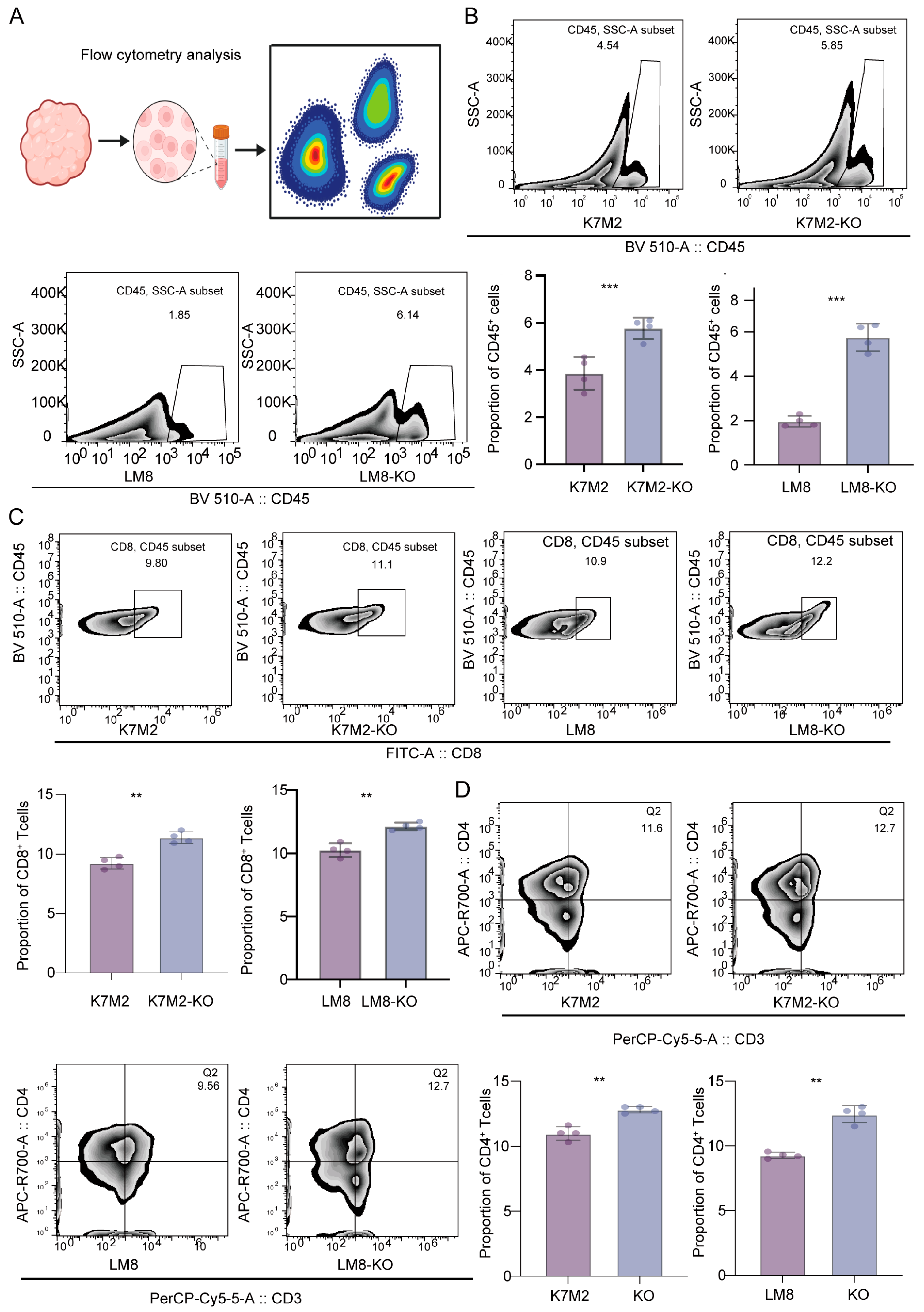 The RNA-Binding Protein RBMX Mediates the Immunosuppressive ...