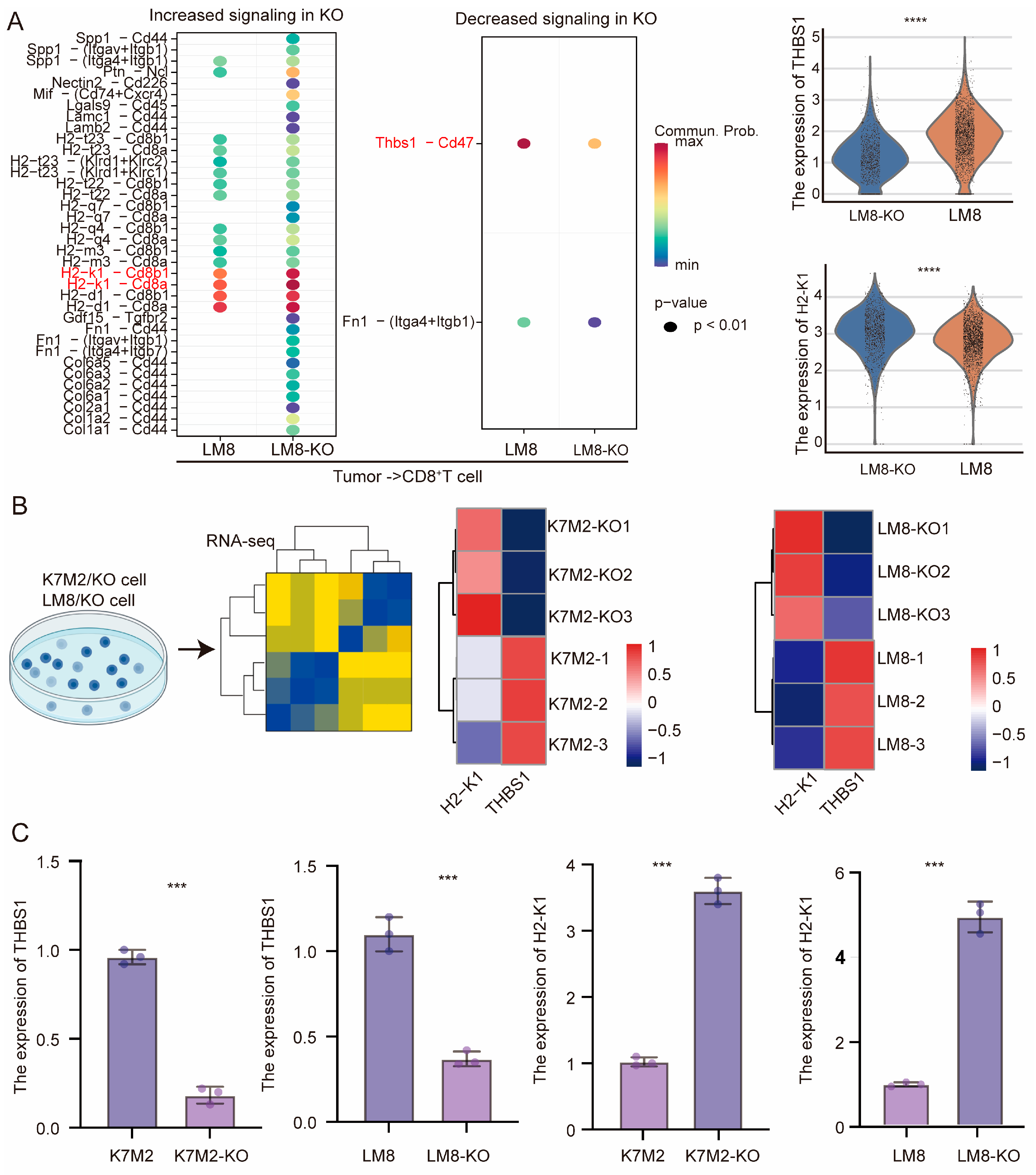 The RNA-Binding Protein RBMX Mediates the Immunosuppressive ...