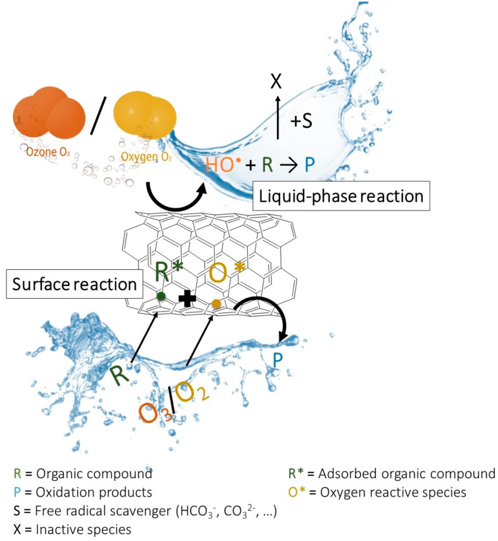 C | Special Issue : Surface Modification of Carbon Nanotubes