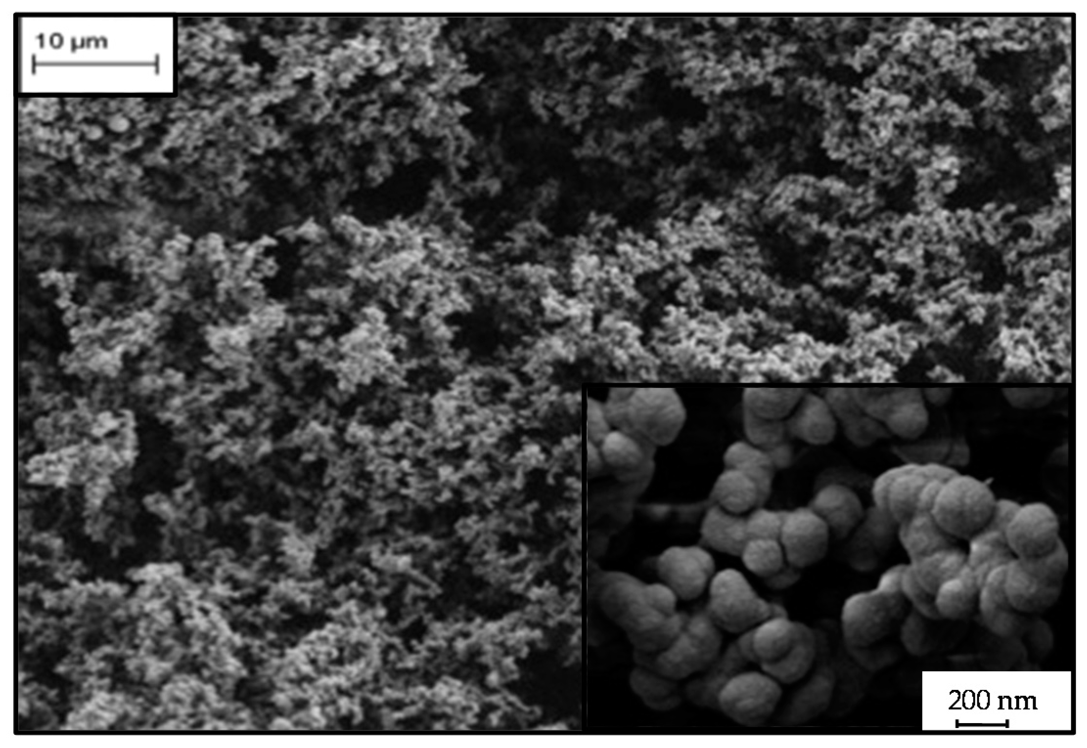 Flexible Carbon Aerogels Flexible Carbon Aerogels