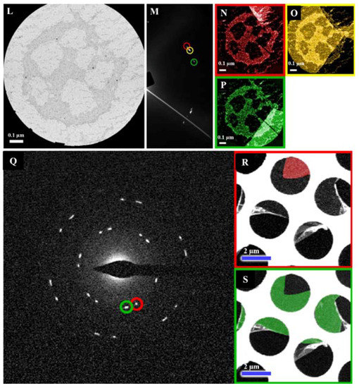 A Library of Doped-Graphene Images via Transmission Electron Microscopy