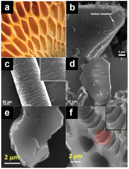 Design and Preparation of Biomass-Derived Carbon Materials for ...