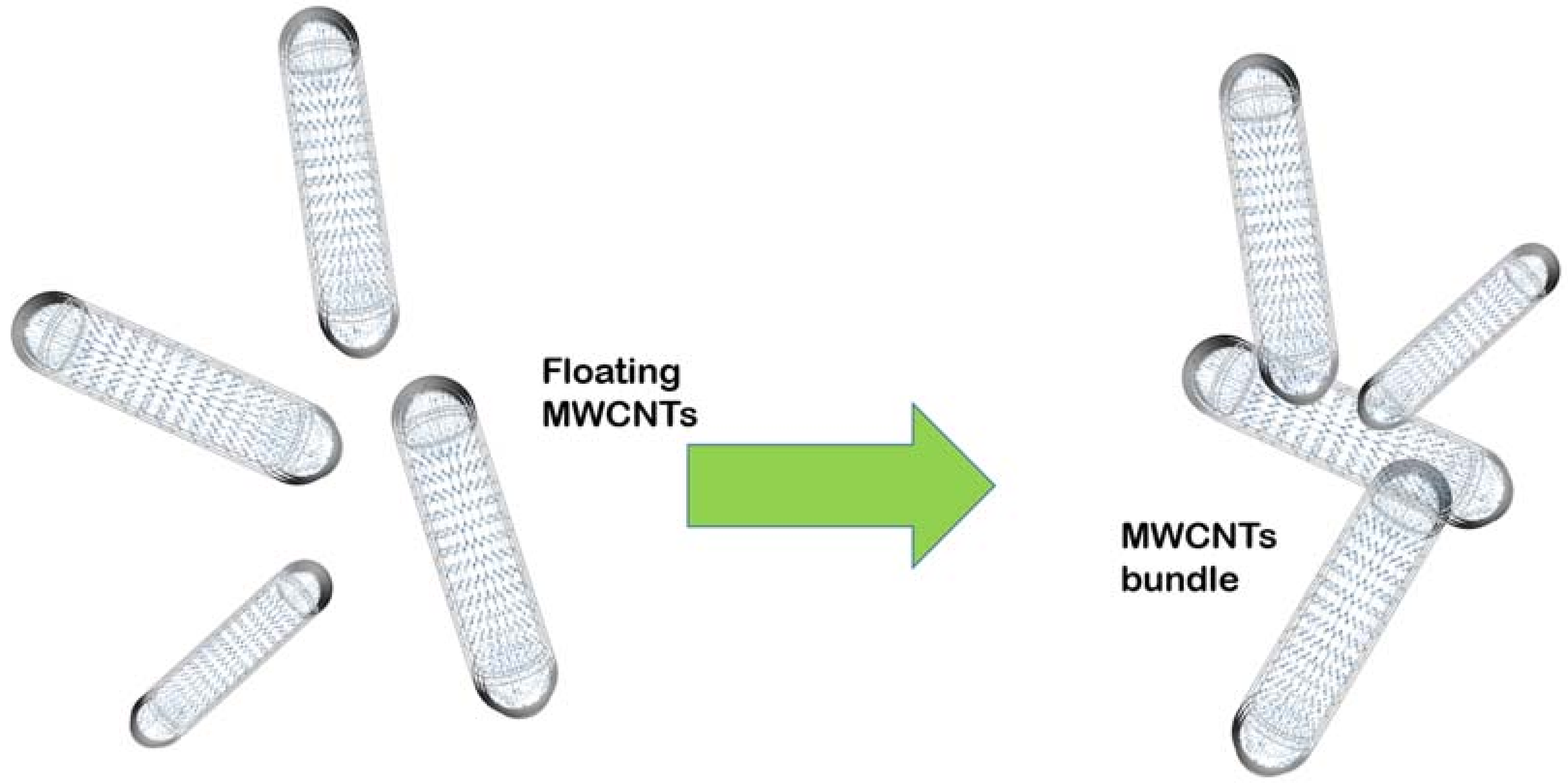 Fullerene-to-MWCNT Structural Evolution Synthesized by Arc Discharge Plasma