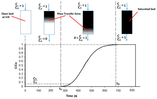 A Review on the Synthesis and Characterization of Biomass-Derived ...