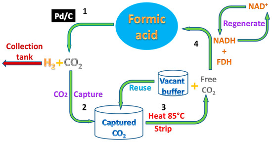 Sustainable Recycling of Formic Acid by Bio-Catalytic CO2 Capture and ...