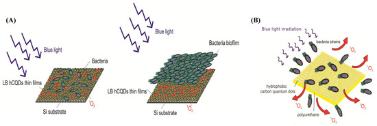 C | Special Issue : Recent Advances in Carbon Dots
