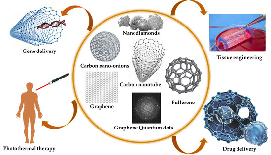 C | Free Full-Text | Carbon-Based Nanomaterials for Delivery of Biologicals and Therapeutics: A ...