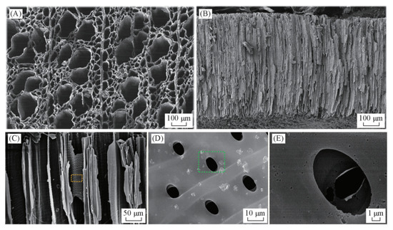 Activated Carbon from Biomass Sustainable Sources