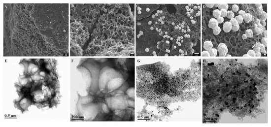 Activated Carbon from Biomass Sustainable Sources