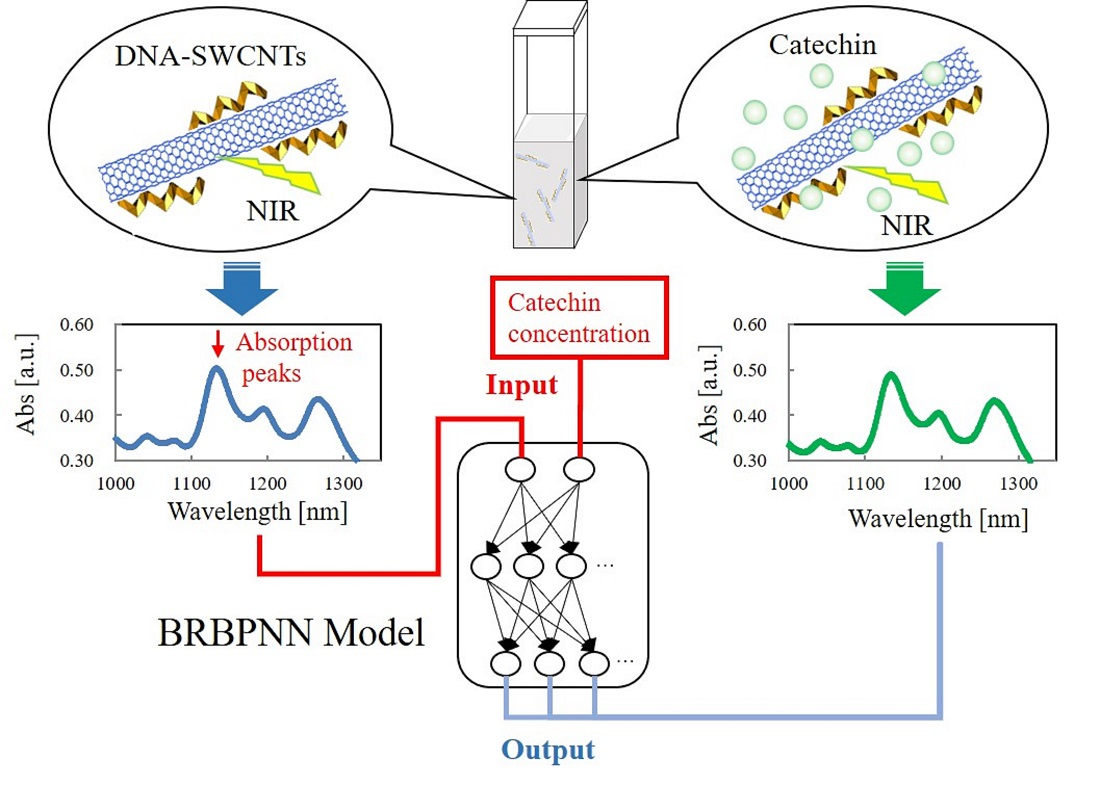C | Free Full-Text | Prediction of the Near-Infrared Absorption ...