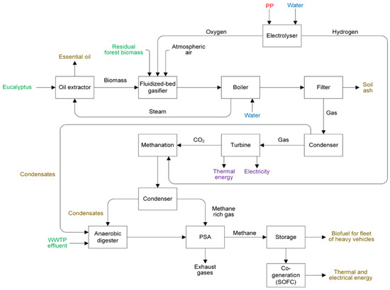 Pre-Feasibility Study of a Multi-Product Biorefinery for the Production ...