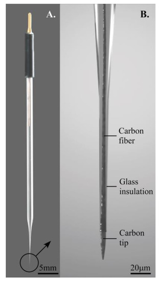 Carbon Fibers: From PAN to Asphaltene Precursors; A State-of-Art Review