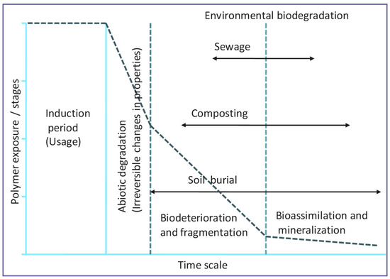 C | Free Full-Text | Emerging Bio-Based Polymers from Lab to Market ...