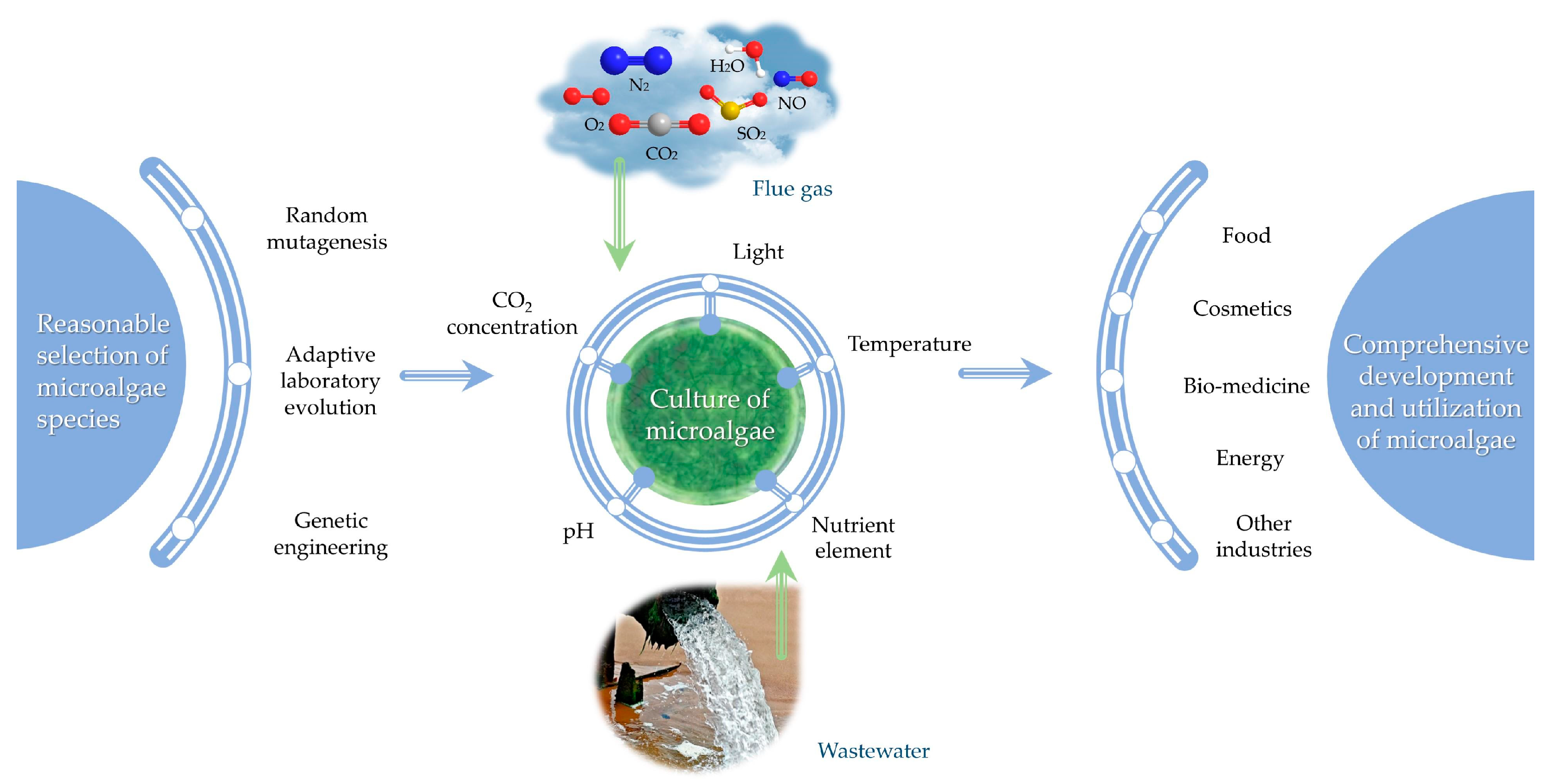 Carbon Sequestration Vs Carbon Removal at Herbert Hamilton blog Carbon Sequestration Vs Carbon Removal at Herbert Hamilton blog