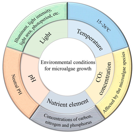 C | Free Full-Text | Optimization and Process Effect for Microalgae ...