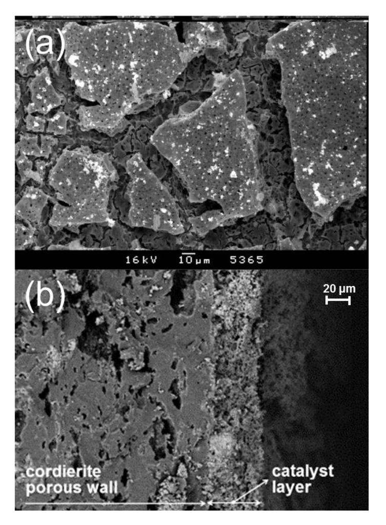 Structured Perovskite-Based Catalysts and Their Application as Three ...
