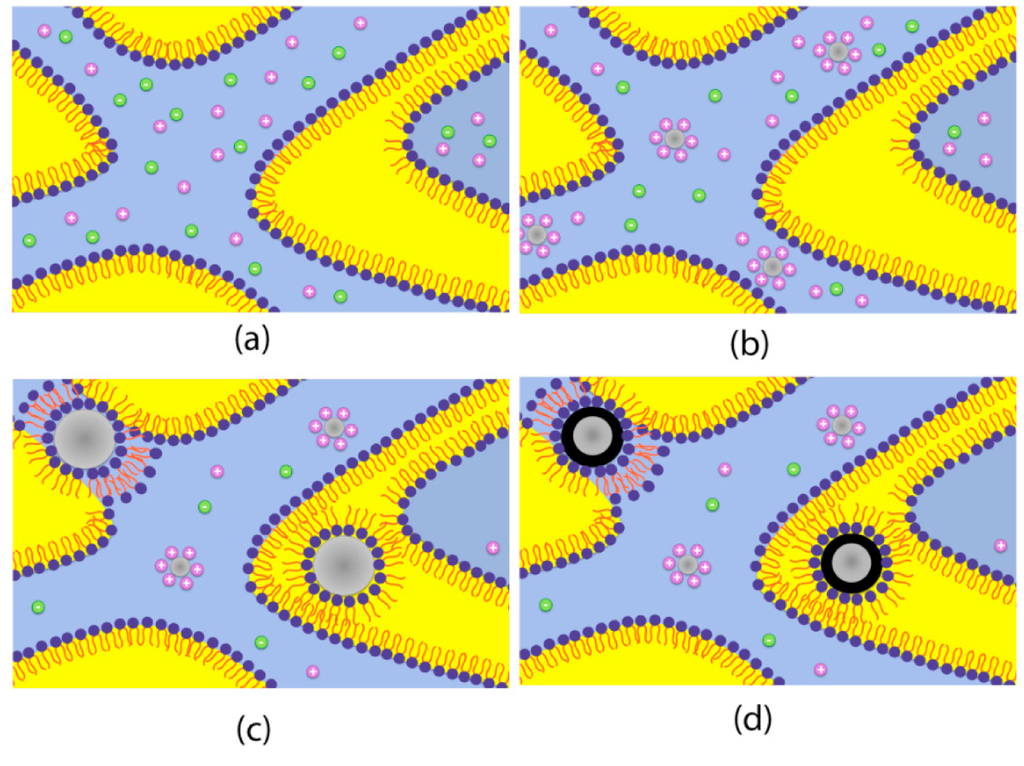 How to Determine the Core-Shell Nature in Bimetallic Catalyst Particles?