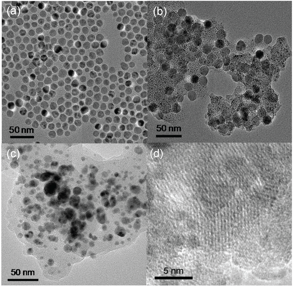 Magnetically Separable and Sustainable Nanostructured Catalysts for ...