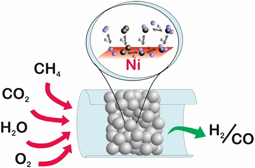 Catalysts | Free Full-Text | Surface Reaction Kinetics of Steam- and ...