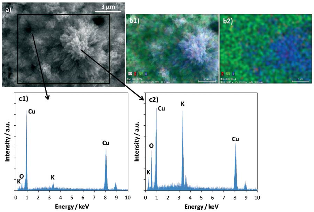 A Review of Surface Analysis Techniques for the Investigation of the ...