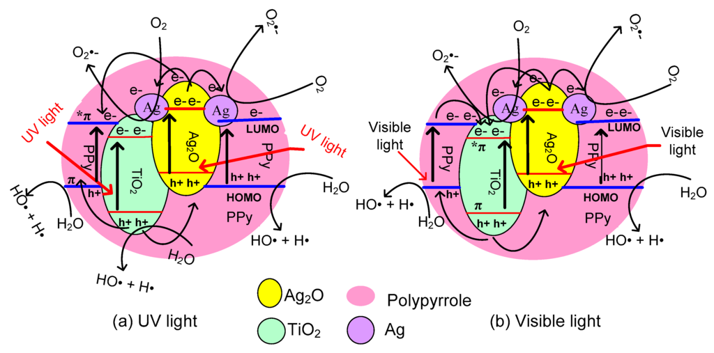 Synthesis and Characterization of Ag-Ag2O/TiO2@polypyrrole ...