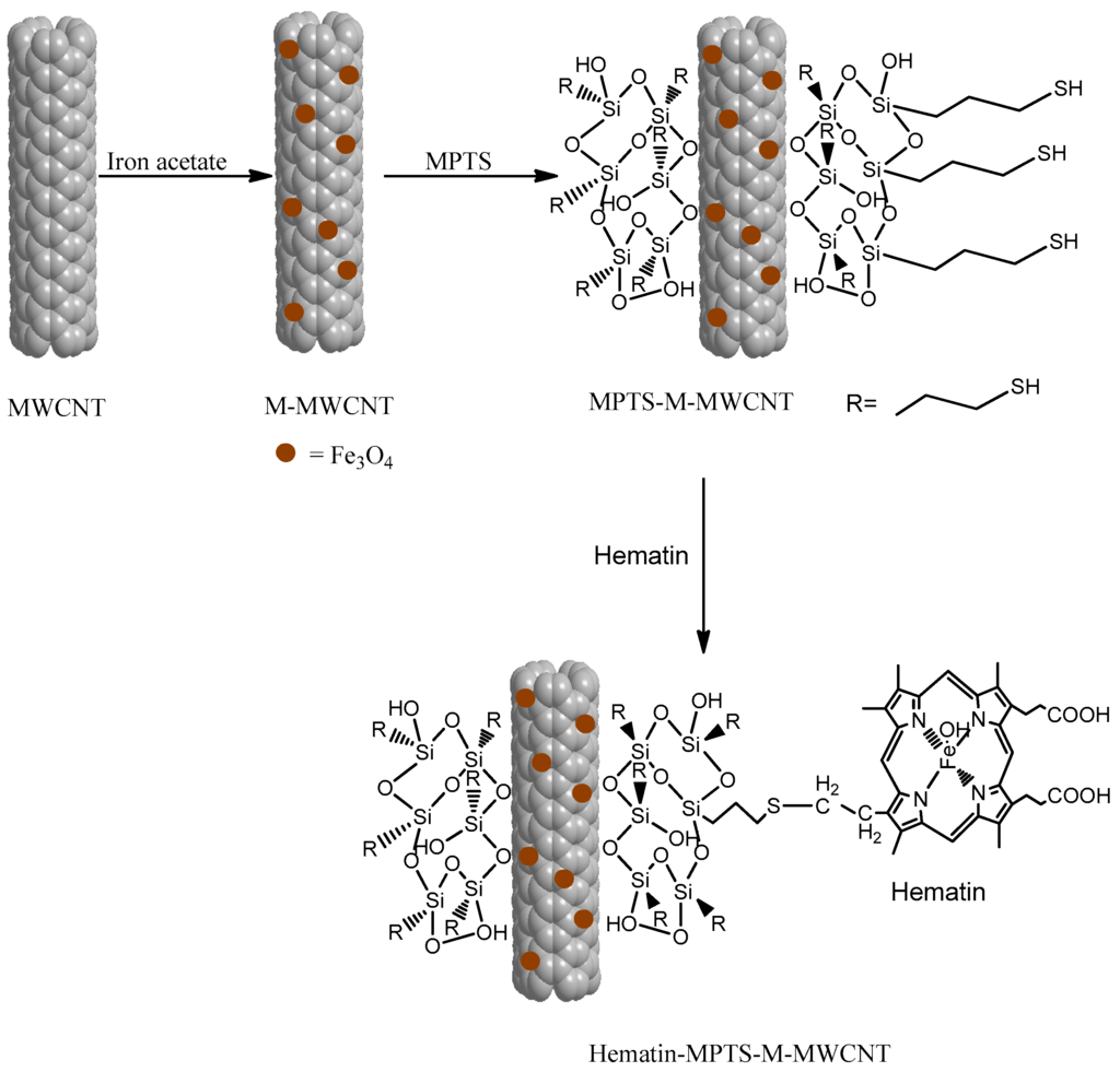 Specifically Grafting Hematin on MPTS-Coated Carbon Nanotubes for ...