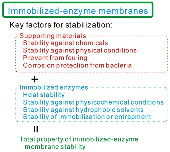 Catalysts | Free Full-Text | How to Lengthen the Long-Term Stability of ...