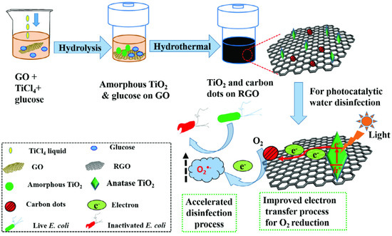 Visible-Light-Active TiO2-Based Hybrid Nanocatalysts for Environmental ...