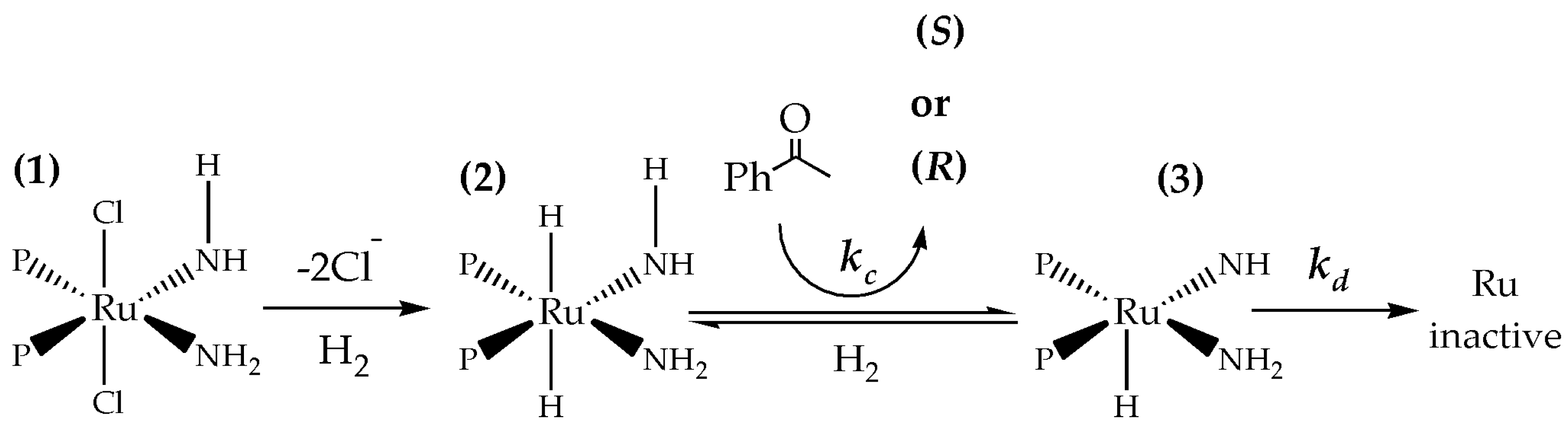 Chiral Catalyst Deactivation during the Asymmetric Hydrogenation of ...