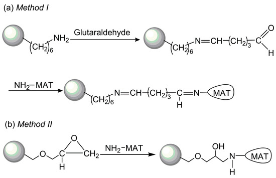 Enzymatic Synthesis of S-Adenosylmethionine Using Immobilized ...