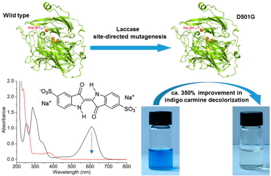 Catalysts | Special Issue : Biocatalysis and Biotransformations