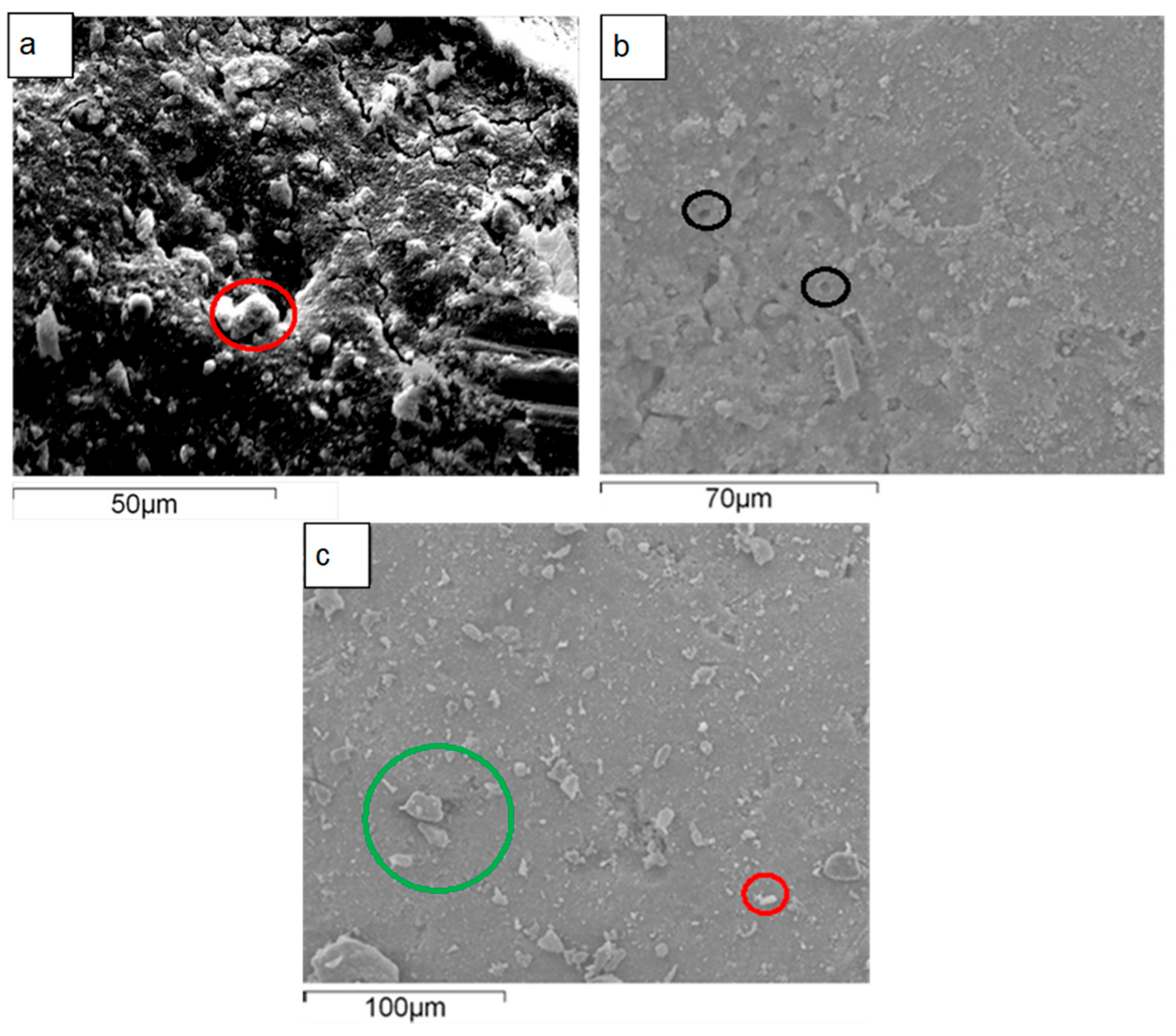 Experimental and Numerical Study of Low Temperature Methane Steam ...