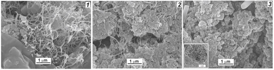Catalysts | Free Full-Text | Heterogeneous Biocatalysts Prepared by ...
