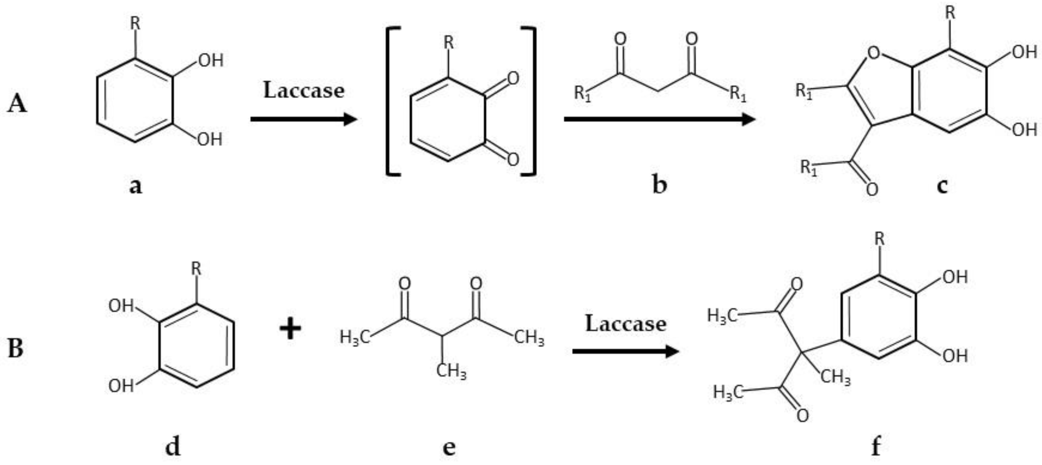 Catalysts Free Full Text Dioxygen Activation By Laccases Green