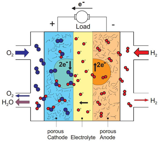 Catalysts | Special Issue : Novel Non-Precious Metal Electrocatalysts ...