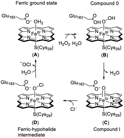 A Comparative Review on the Catalytic Mechanism of Nonheme Iron ...