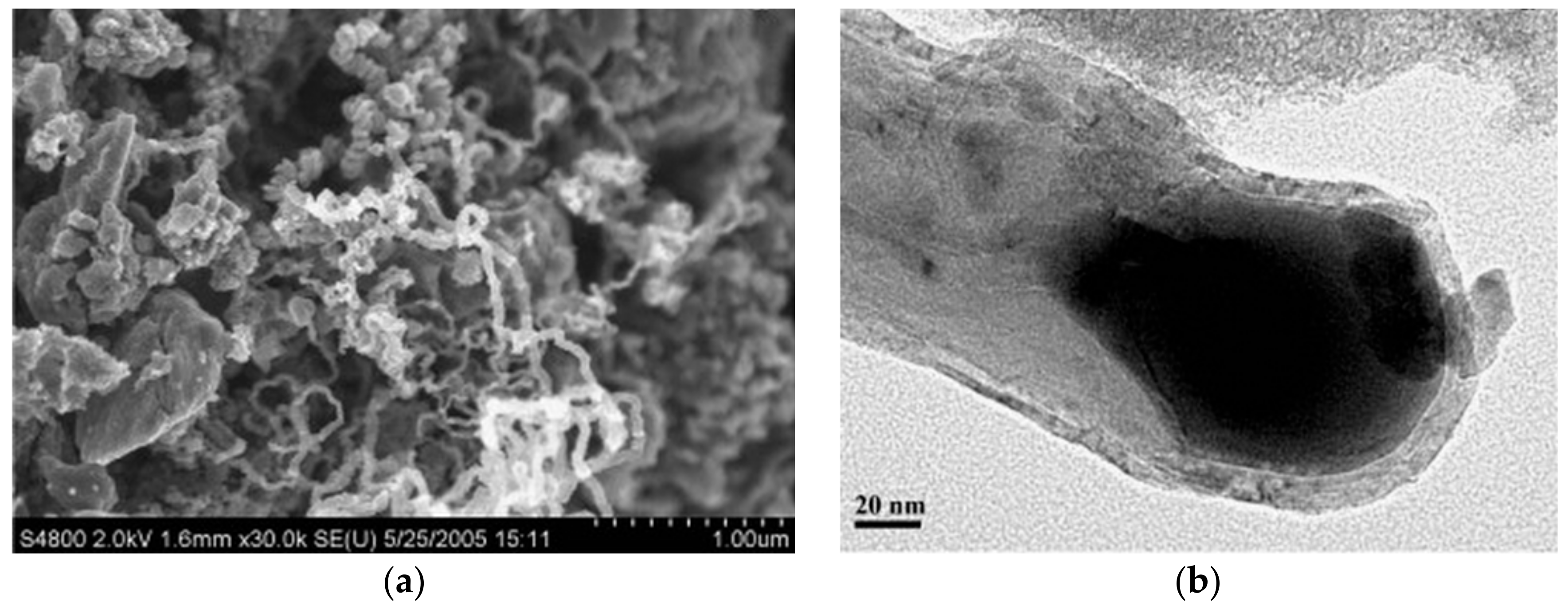 Catalysts | Free Full-Text | Preparation and Application of Biochar ...