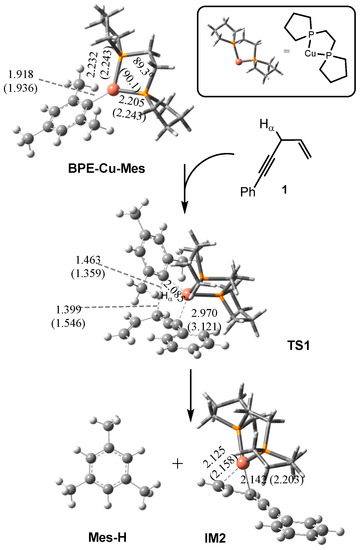 Catalysts | Special Issue : Asymmetric Catalysis in Organic Synthesis