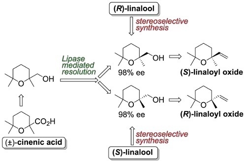 Catalysts | Free Full-Text | Two Complementary Synthetic Approaches to ...