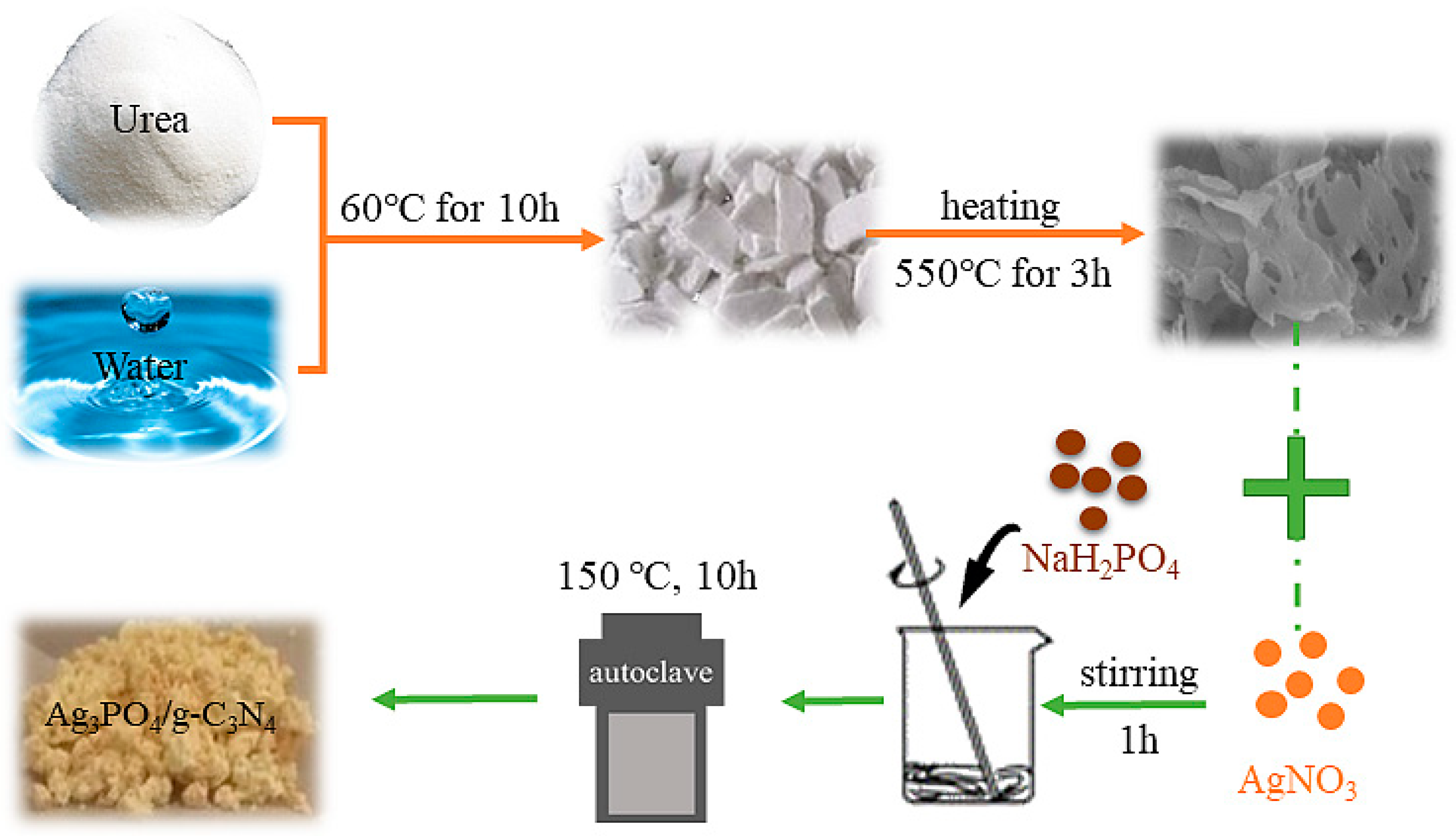 Photocatalytic Inactivation of Bacteriophage f2 with Ag3PO4/g-C3N4 ...