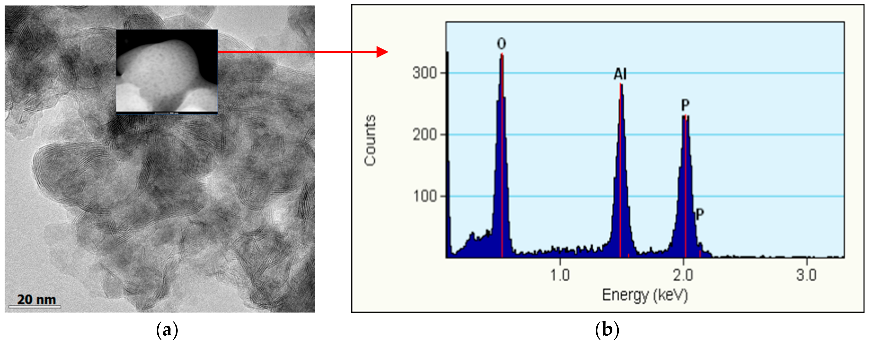 Influence of Bio-Oil Phospholipid on the Hydrodeoxygenation Activity of ...