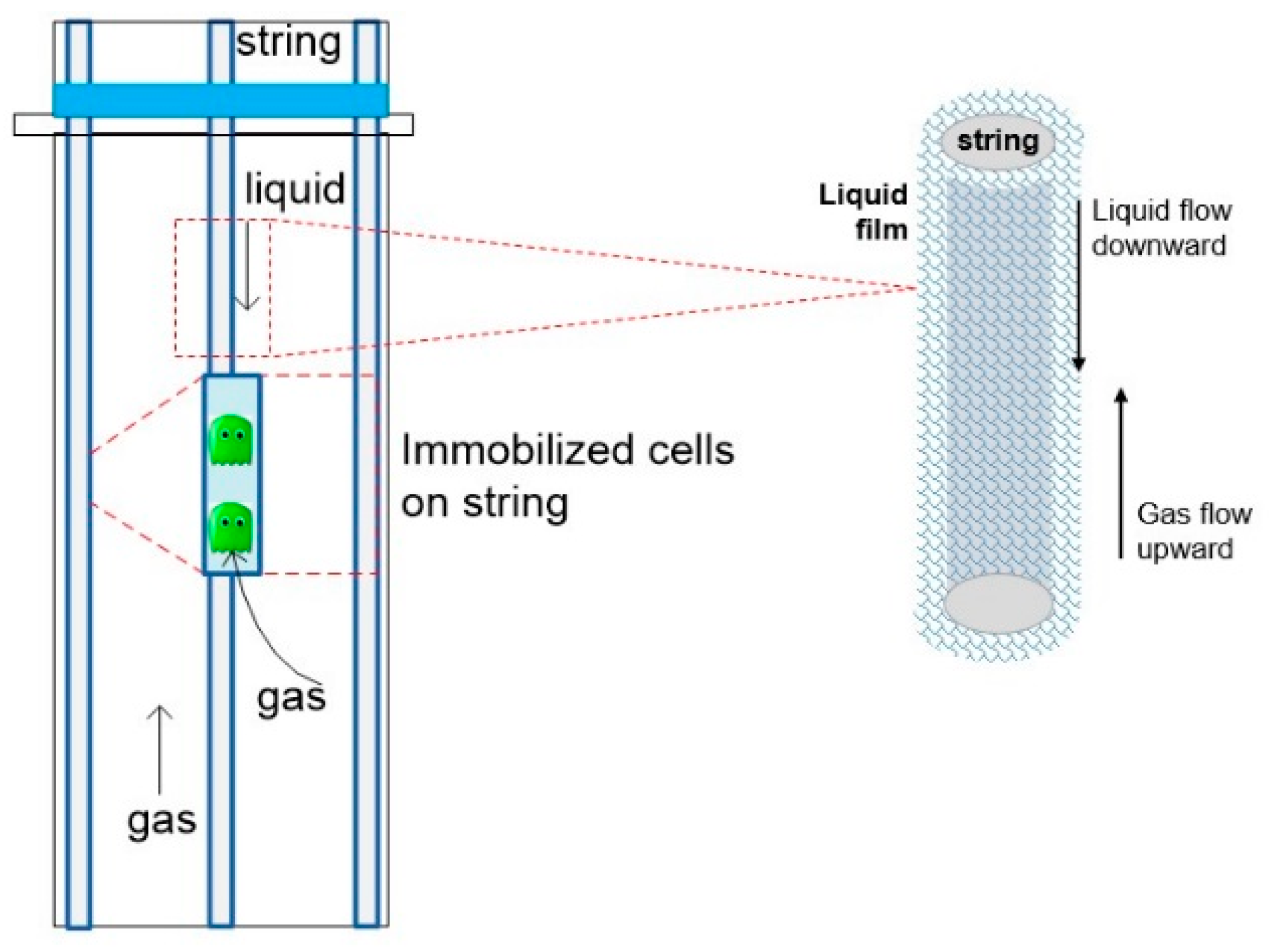 Mass Transfer Performance of a String Film Reactor: A Bioreactor Design ...