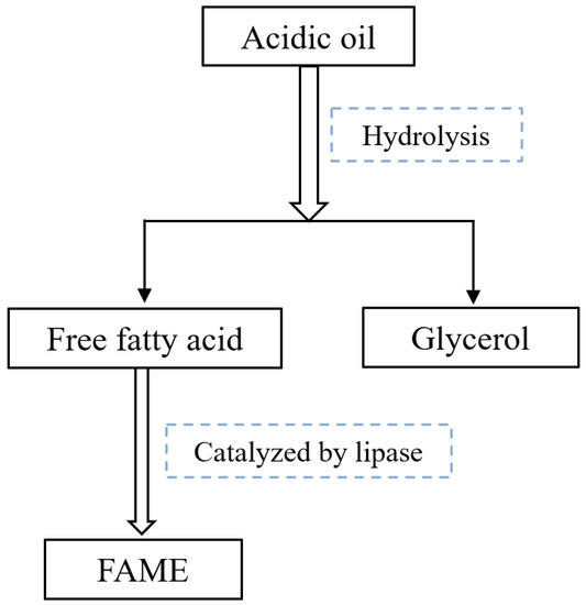A Robust Two-Step Process for the Efficient Conversion of Acidic ...