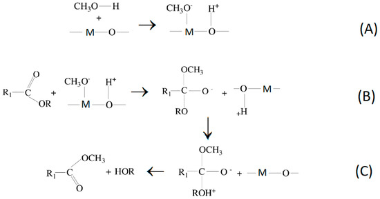 Biochars and Their Use as Transesterification Catalysts for Biodiesel ...
