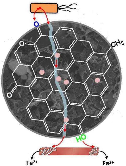 Catalysts | Free Full-Text | Prominent Conductor Mechanism-Induced ... Catalysts | Free Full-Text | Prominent Conductor Mechanism-Induced ...