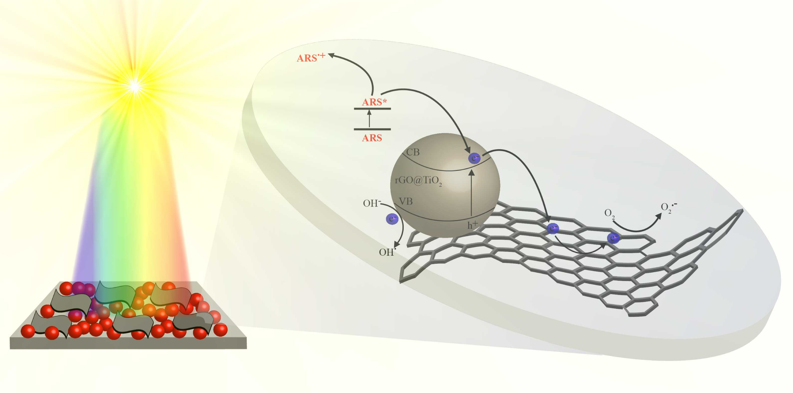Catalysts | Free Full-Text | Reduced Graphene Oxide/TiO2 Nanocomposite ...