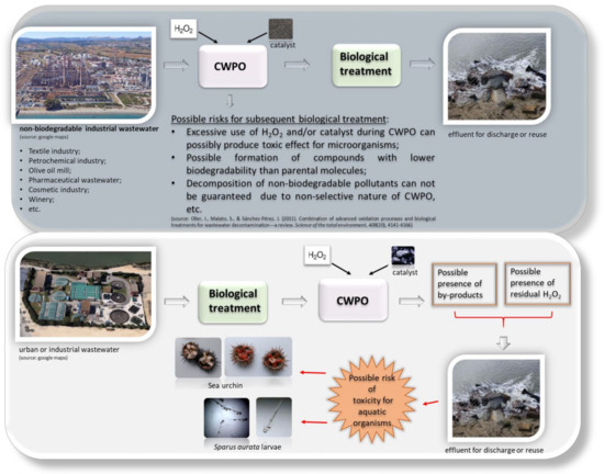 Application of Catalytic Wet Peroxide Oxidation for Industrial and ...