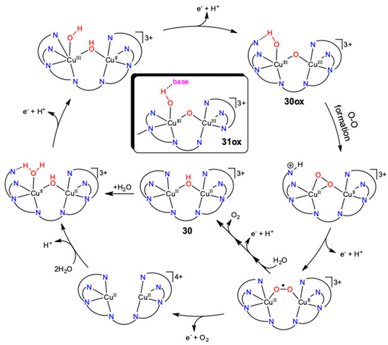 Copper Containing Molecular Systems in Electrocatalytic Water Oxidation ...