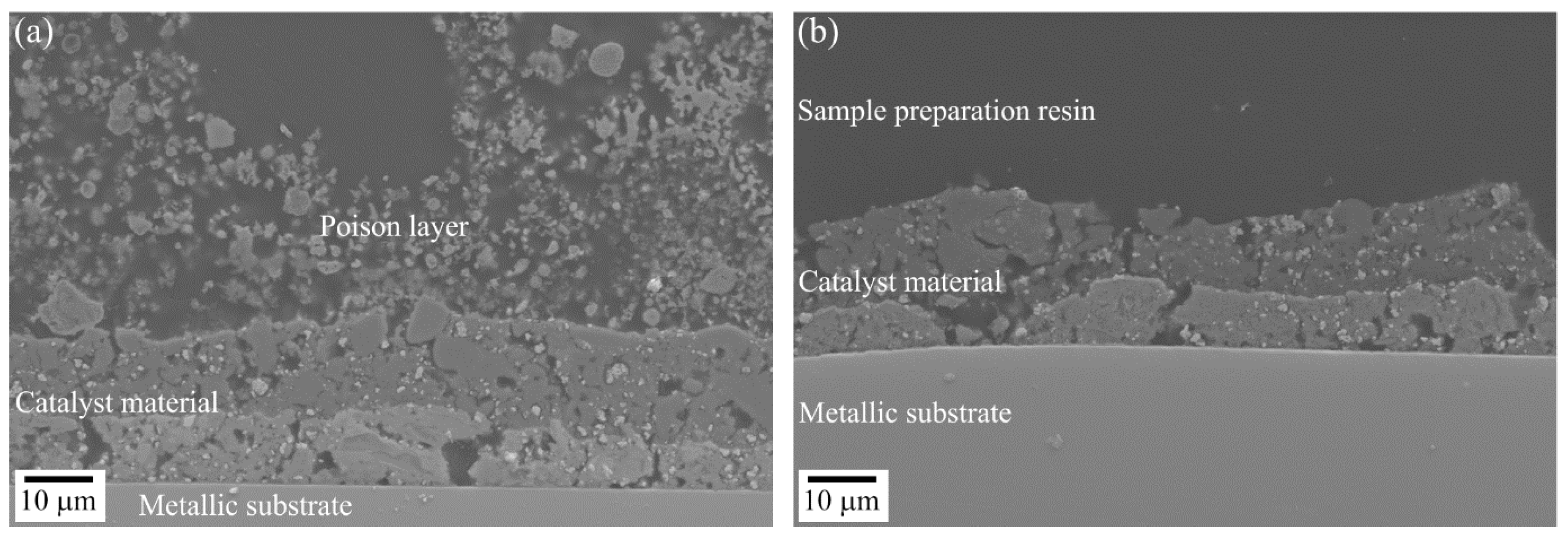 Microstructural Characteristics of Vehicle-Aged Heavy-Duty Diesel ...